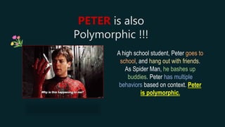 java polymorphism example program oracal.pptx