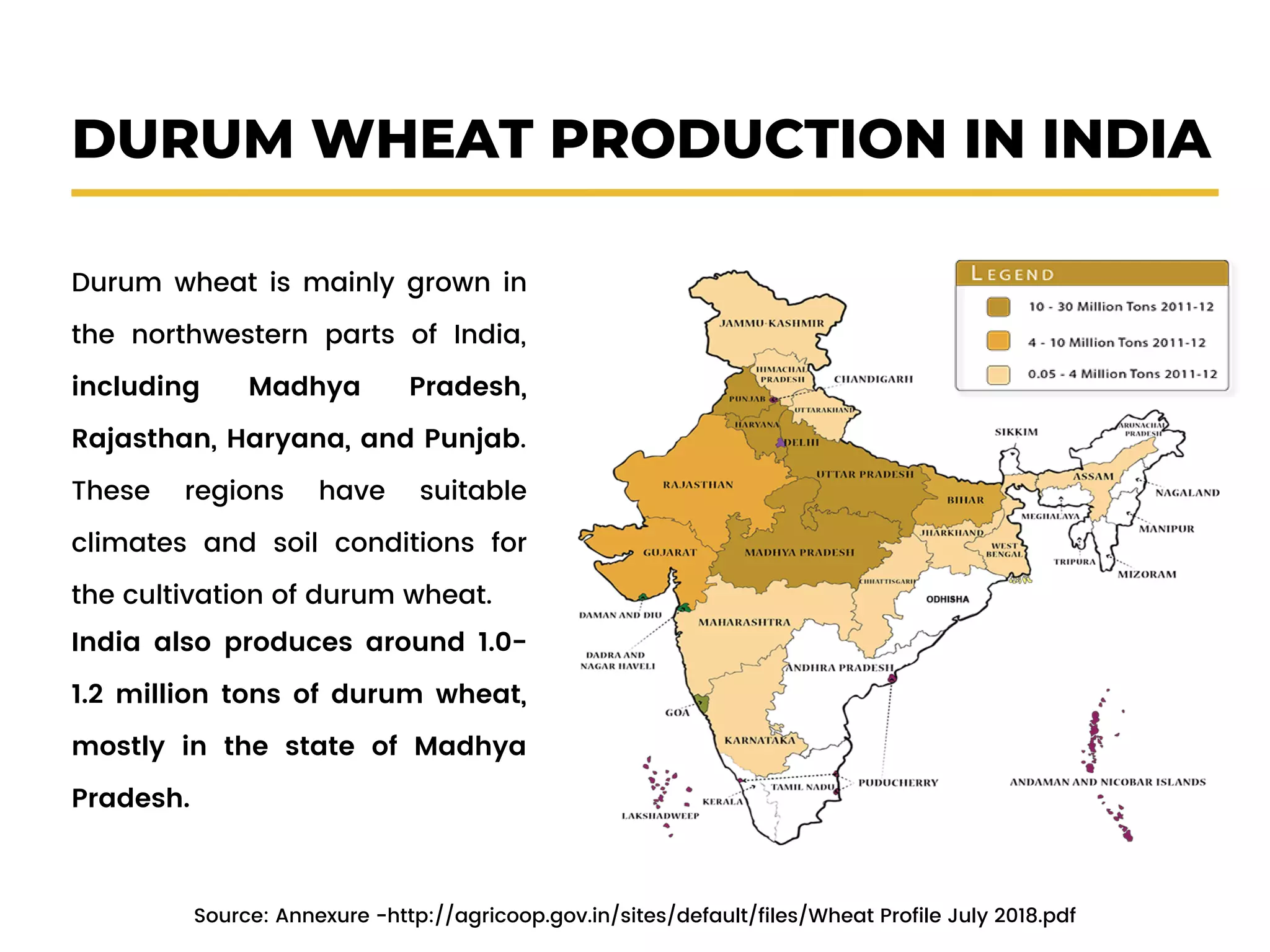 Durum Wheat Production in India & Top Suppliers of Durum Wheat | PPT