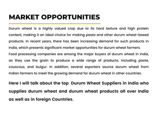Durum Wheat Production in India & Top Suppliers of Durum Wheat | PDF