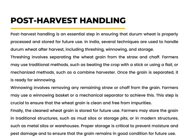 Durum Wheat Production in India & Top Suppliers of Durum Wheat | PPT