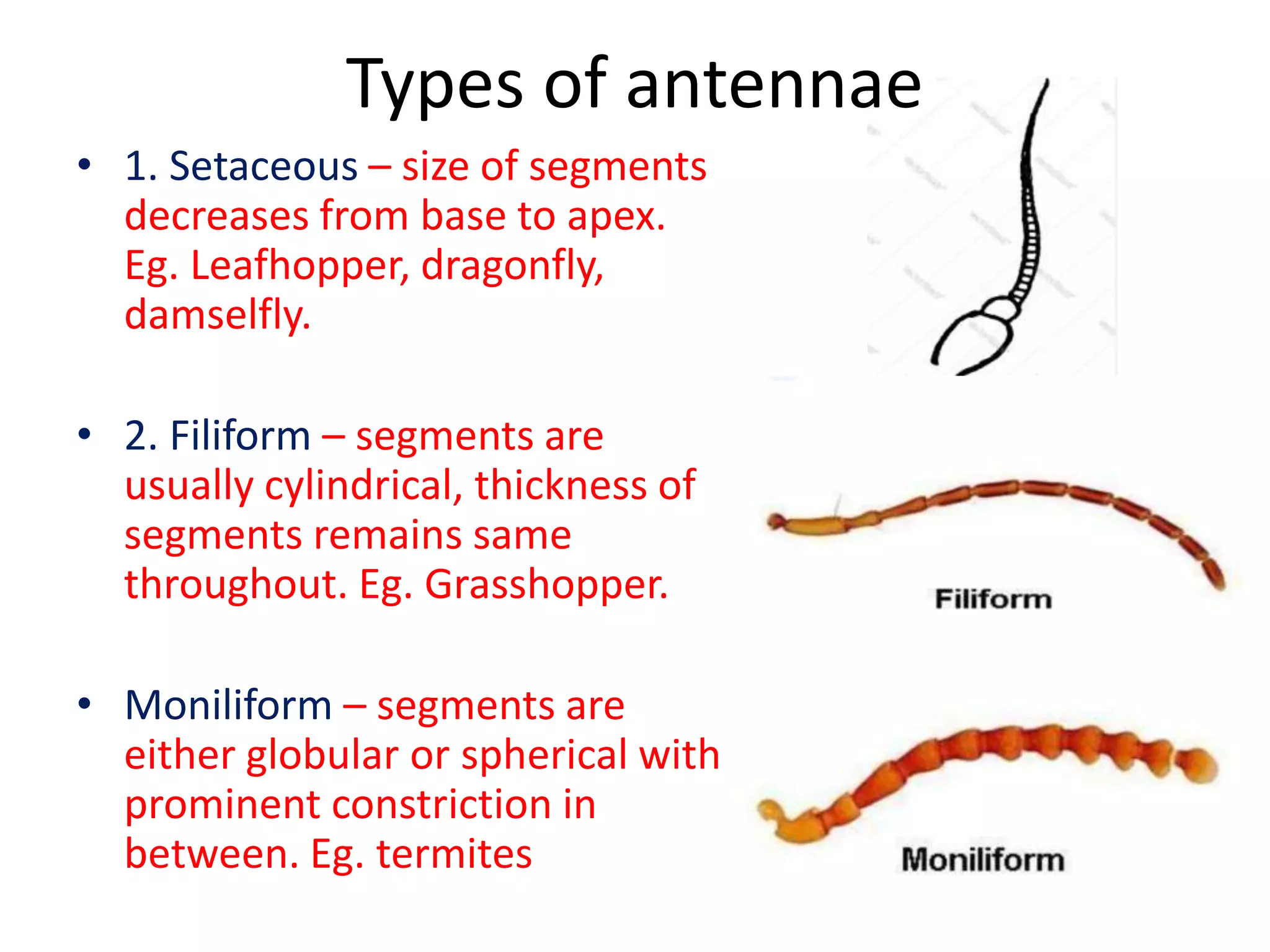Durva 17-01-2023.pptx