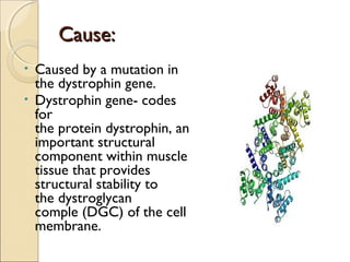 Duschenne’s Muscular Dystrophy | PPT | Physical Therapy | Wellness