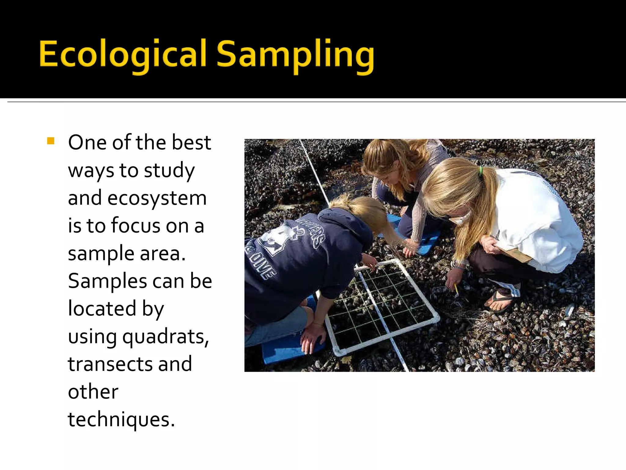 Habitats, Environment and Survival | PPT