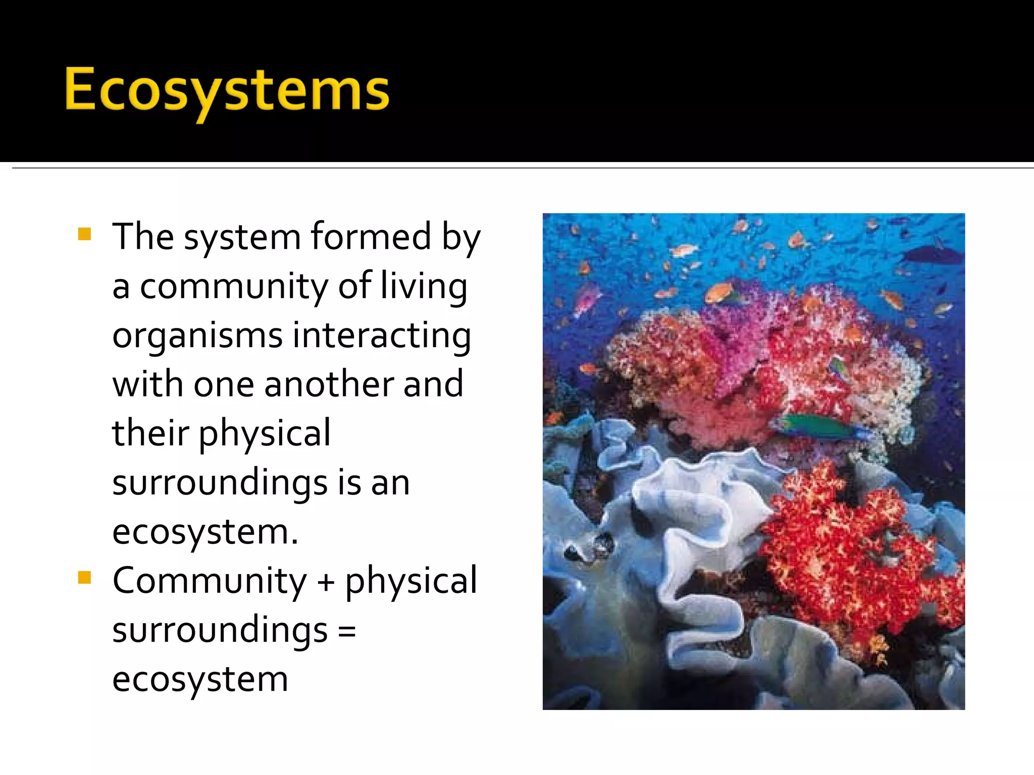 Habitats, Environment and Survival | PPT