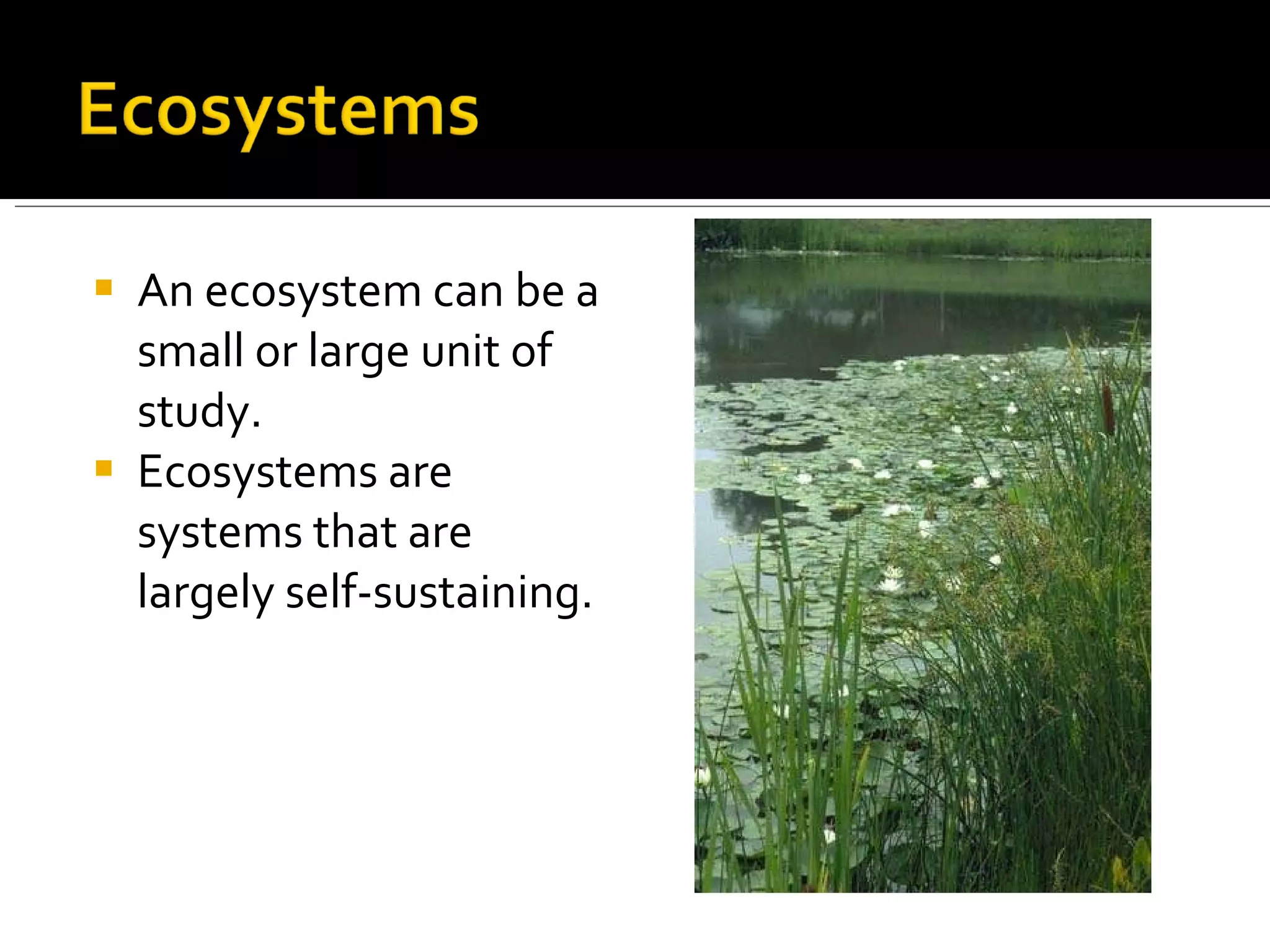 Habitats, Environment and Survival | PPT