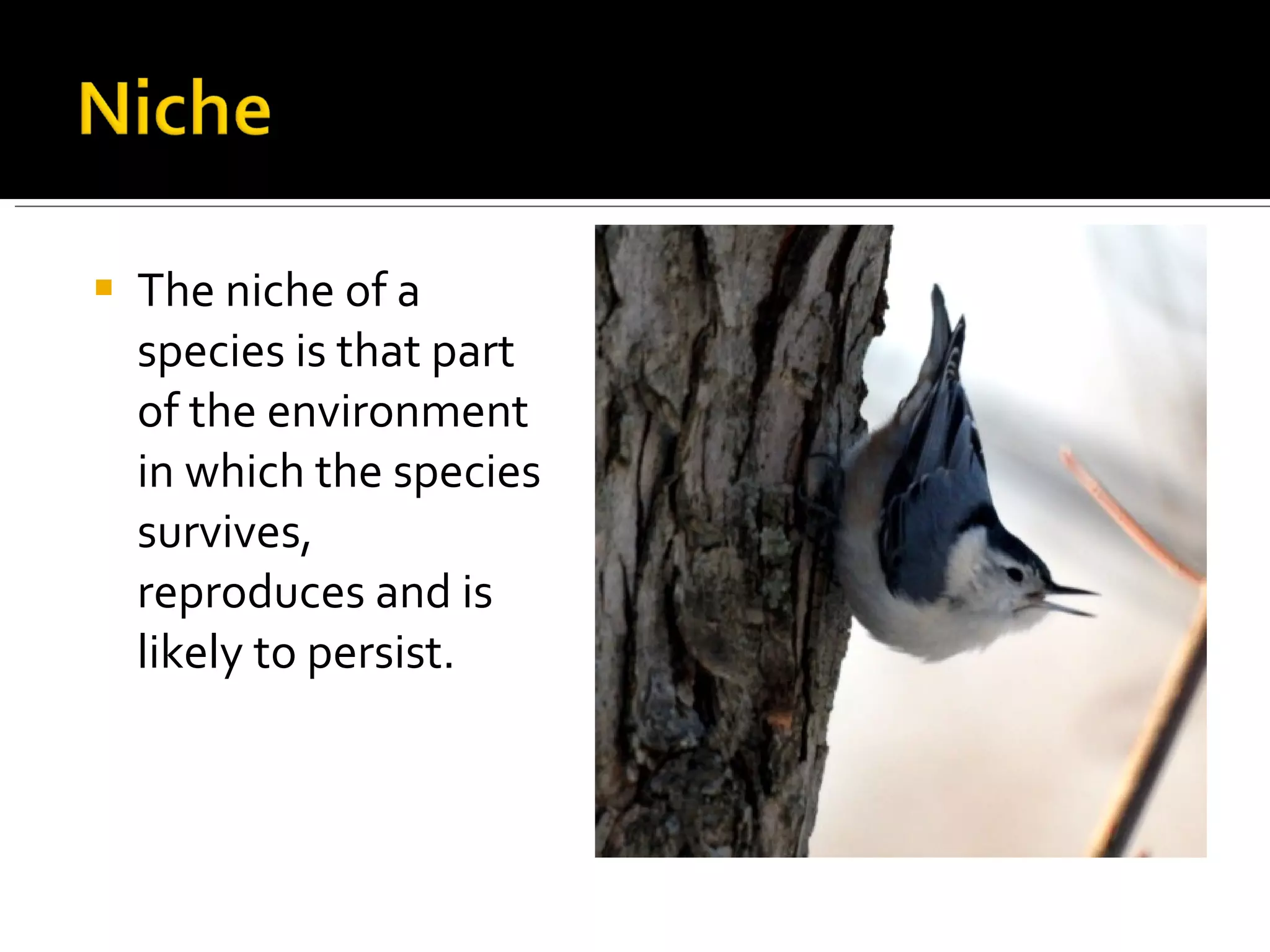 Habitats, Environment and Survival | PPT