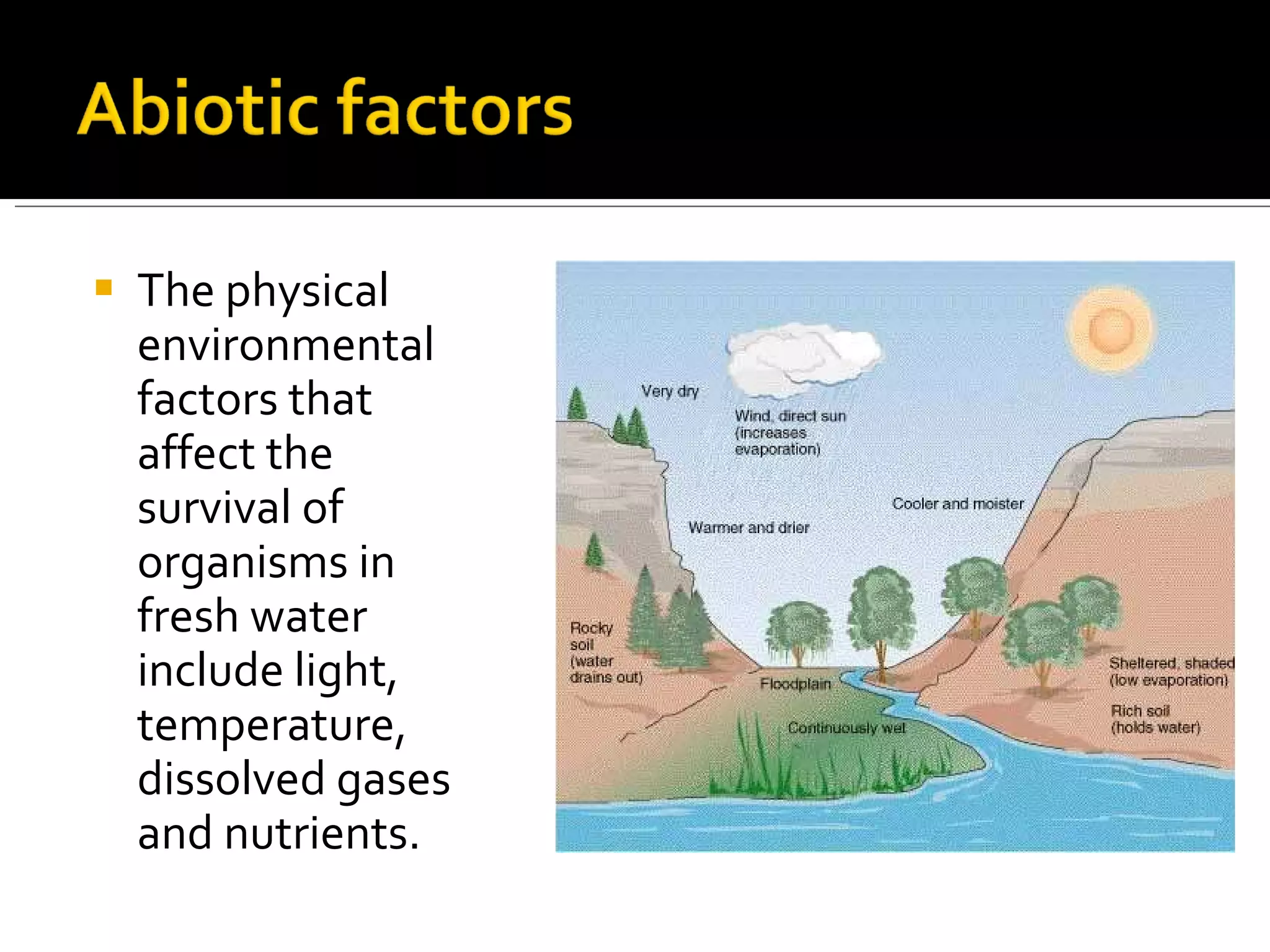 Habitats, Environment and Survival | PPT