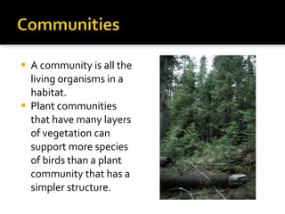 Habitats, Environment and Survival | PPT