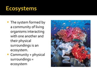 Habitats, Environment and Survival | PPT