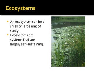 Habitats, Environment and Survival | PPT