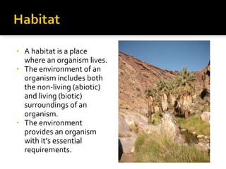 Habitats, Environment and Survival | PPT