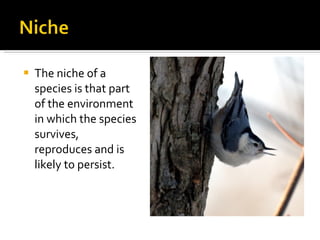 Habitats, Environment and Survival | PPT