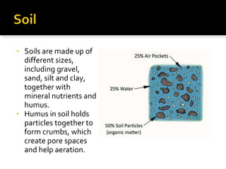 Habitats, Environment and Survival | PPT