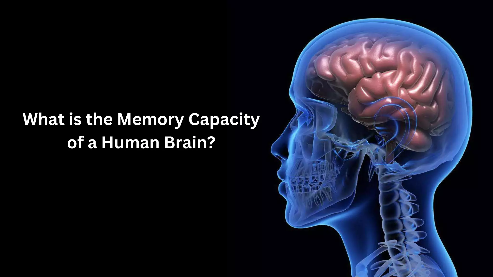 Dushyant Verma Maharani Bagh - What is the Memory Capacity of a Human ...