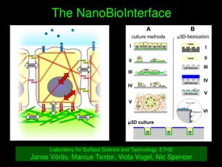 Dusjagr nano hacking_unili_01_intro | PPT