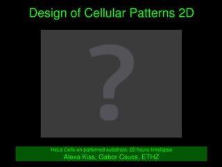 Dusjagr nano hacking_unili_01_intro | PPT