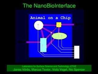 Dusjagr nano hacking_unili_01_intro | PPT