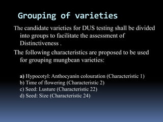 Dus characterization of mungbean/ green gram Vigna radiata | PPTX