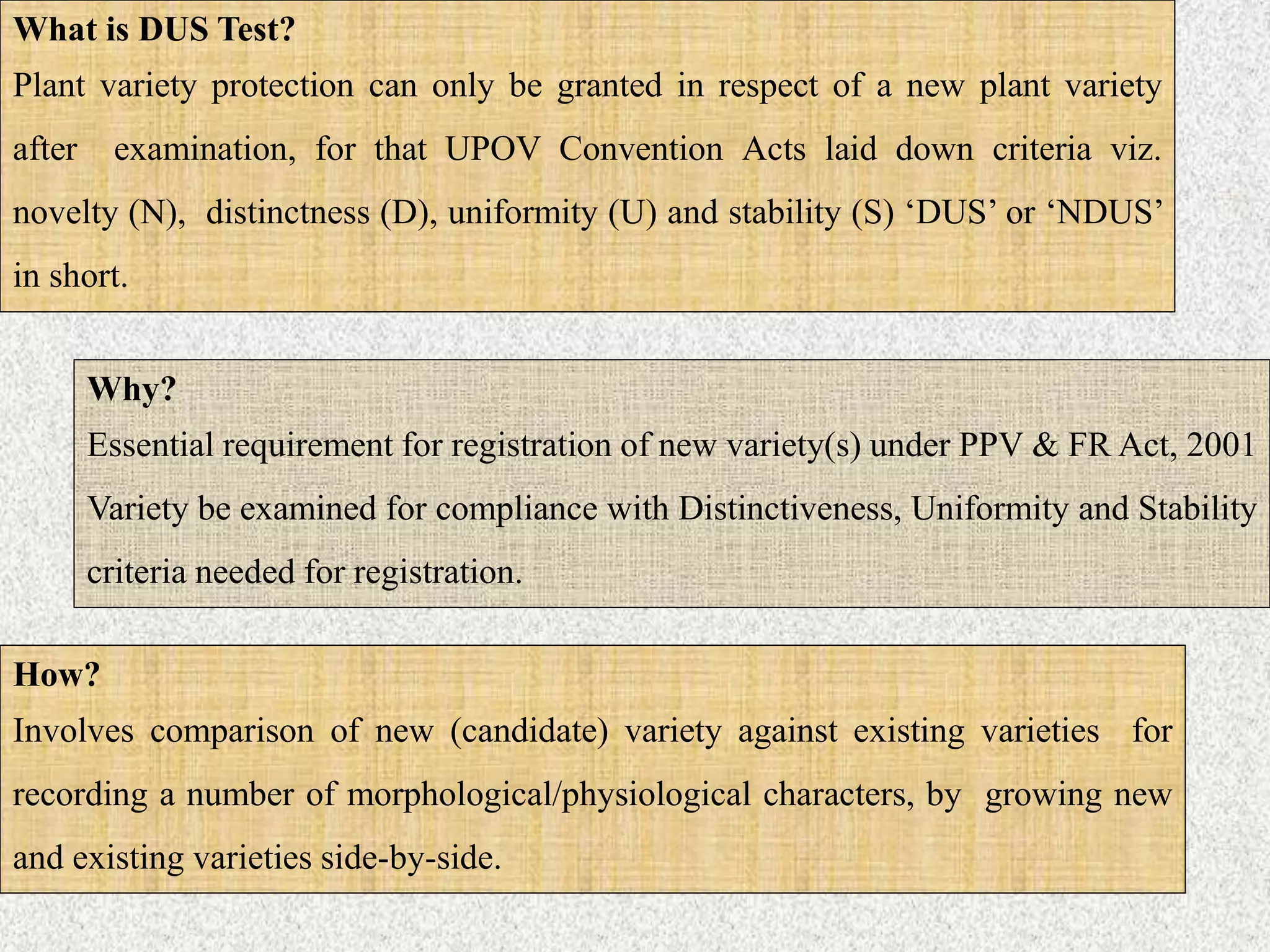 DUS characterisation pigeon pea | PPTX