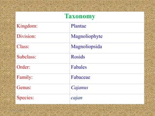 DUS characterisation pigeon pea | PPTX