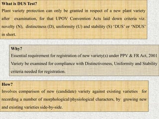 DUS characterisation pigeon pea | PPTX