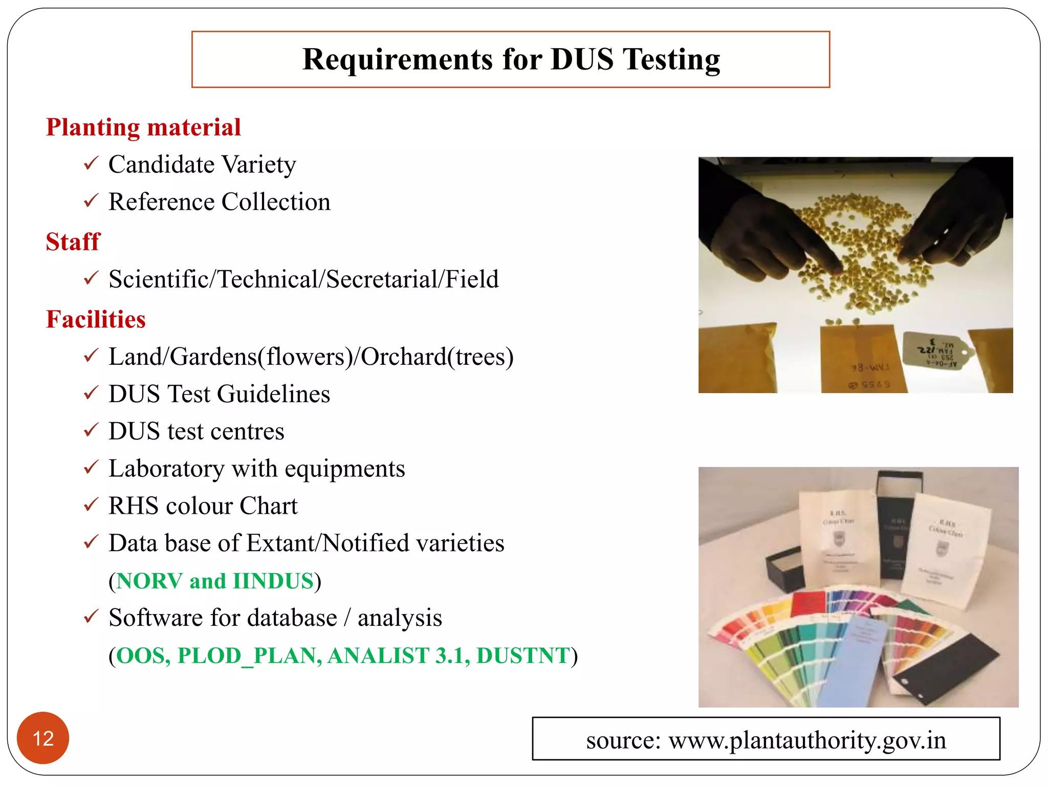 DUS Test Guidelines for Maize | PPTX