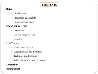 DUS Test Guidelines for Maize | PPTX