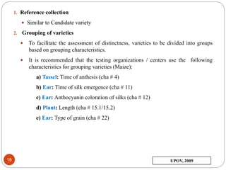 DUS Test Guidelines for Maize | PPTX