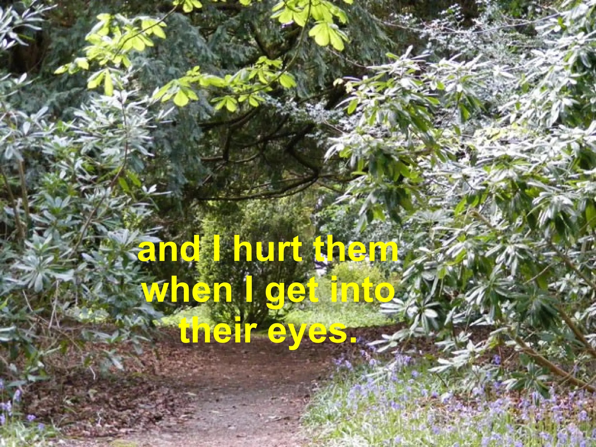 Dust - Poem By Linda J. Hutchinson | PPS