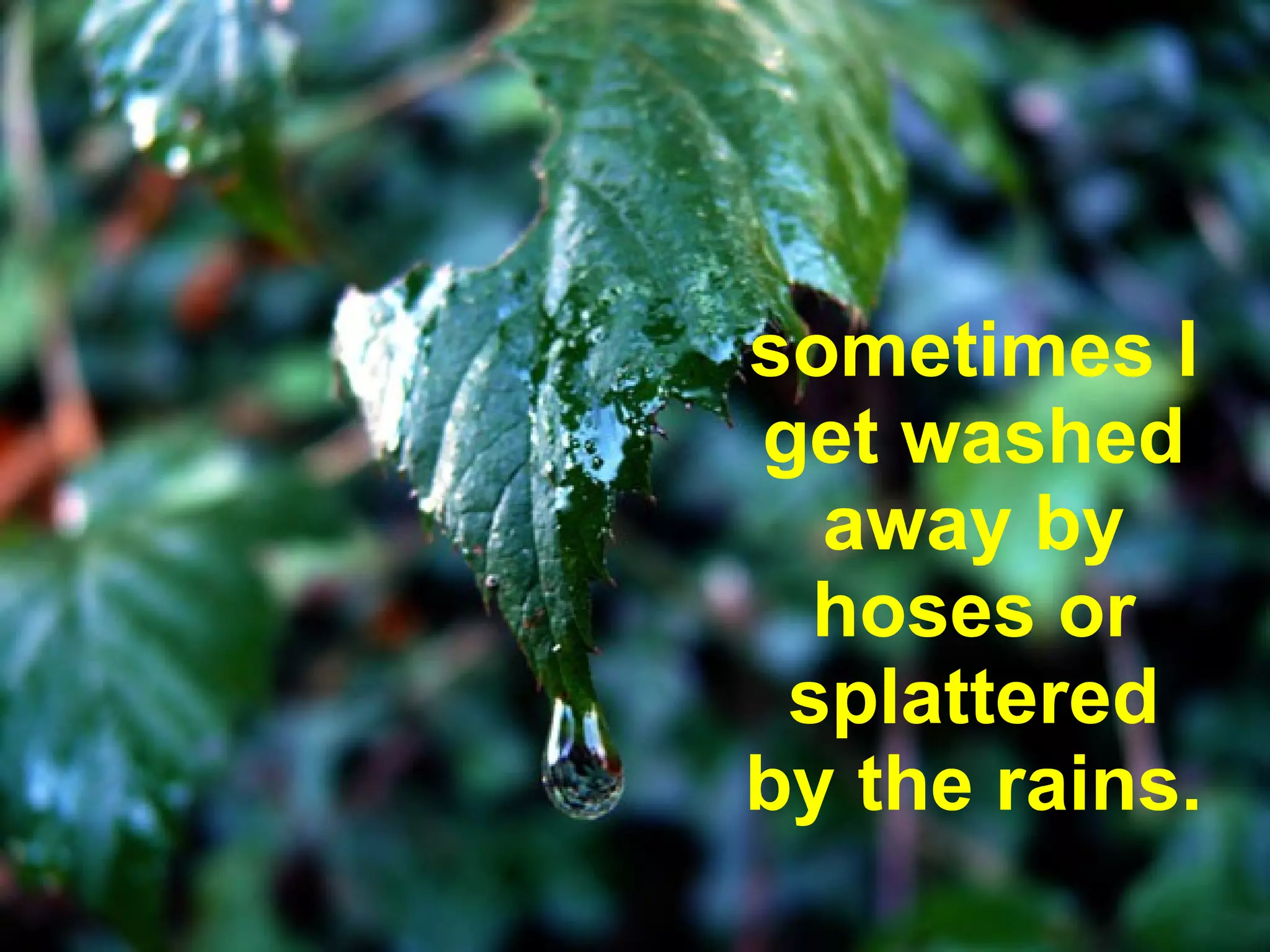 Dust - Poem By Linda J. Hutchinson | PPS