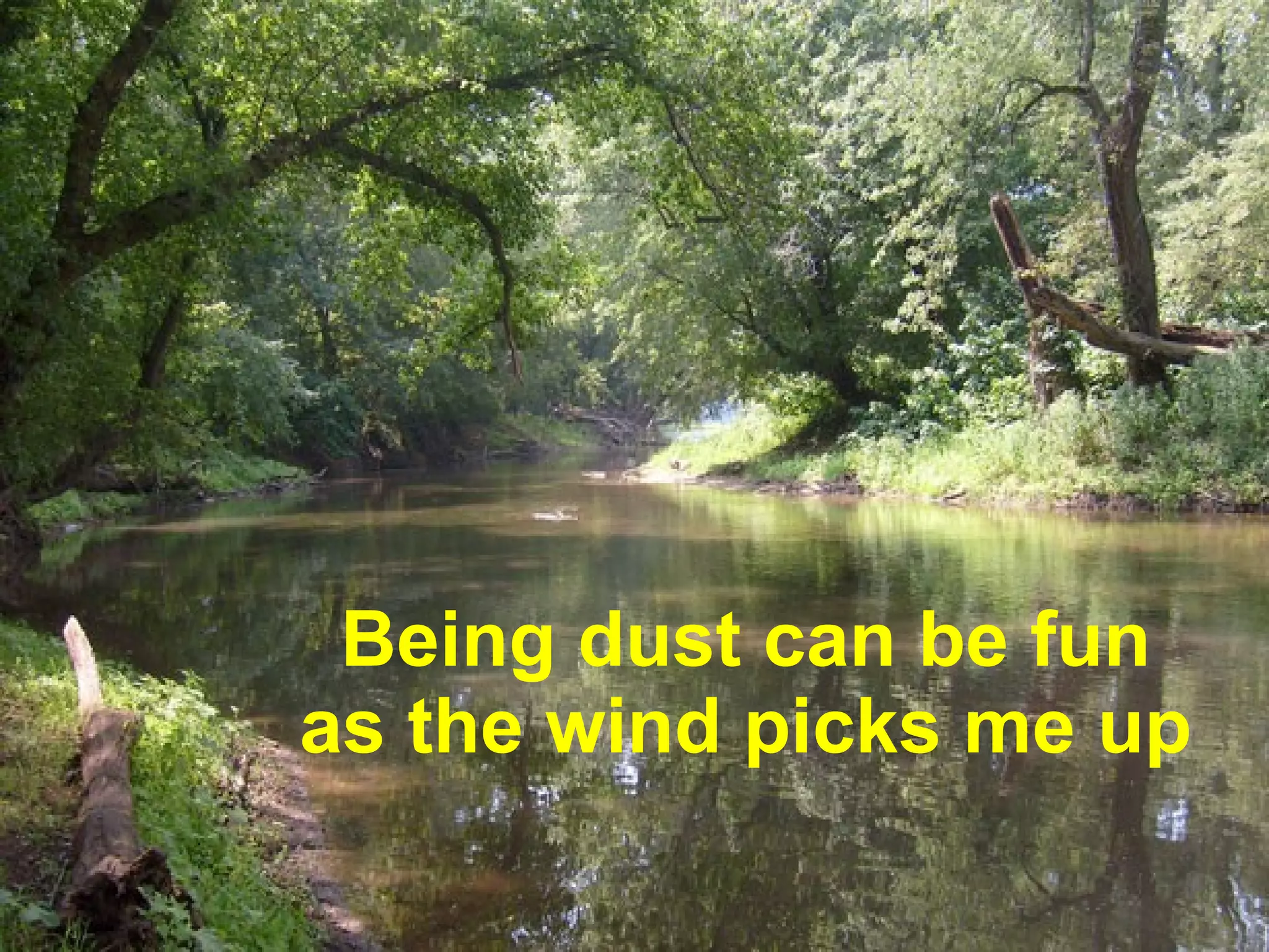 Dust - Poem By Linda J. Hutchinson | PPS