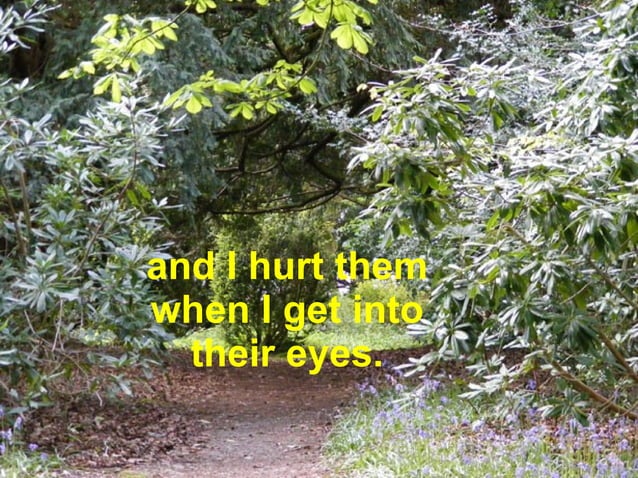 Dust - Poem By Linda J. Hutchinson | PPT