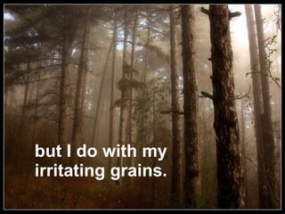 Dust - Poem By Linda J. Hutchinson | PPS