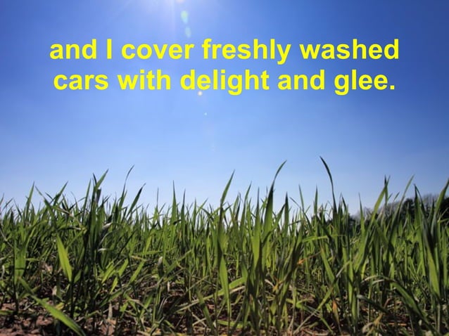 Dust - Poem By Linda J. Hutchinson | PPT