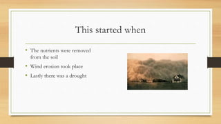 Dust bowl project | PPT