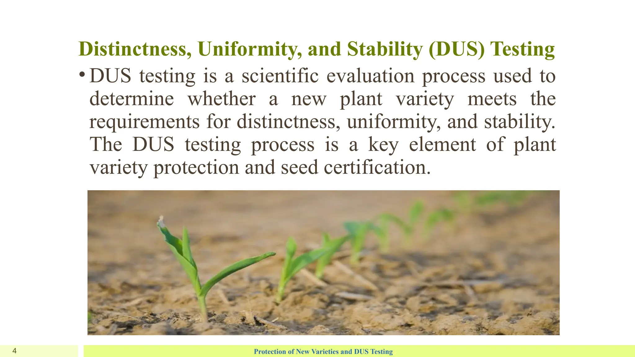 Protection of New Varieties and DUS testing | PPTX