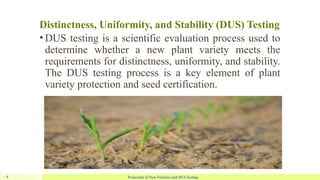 Protection of New Varieties and DUS testing | PPTX