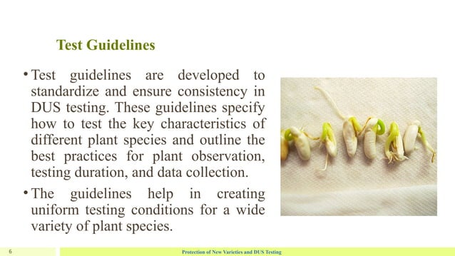 Protection of New Varieties and DUS testing | PPTX