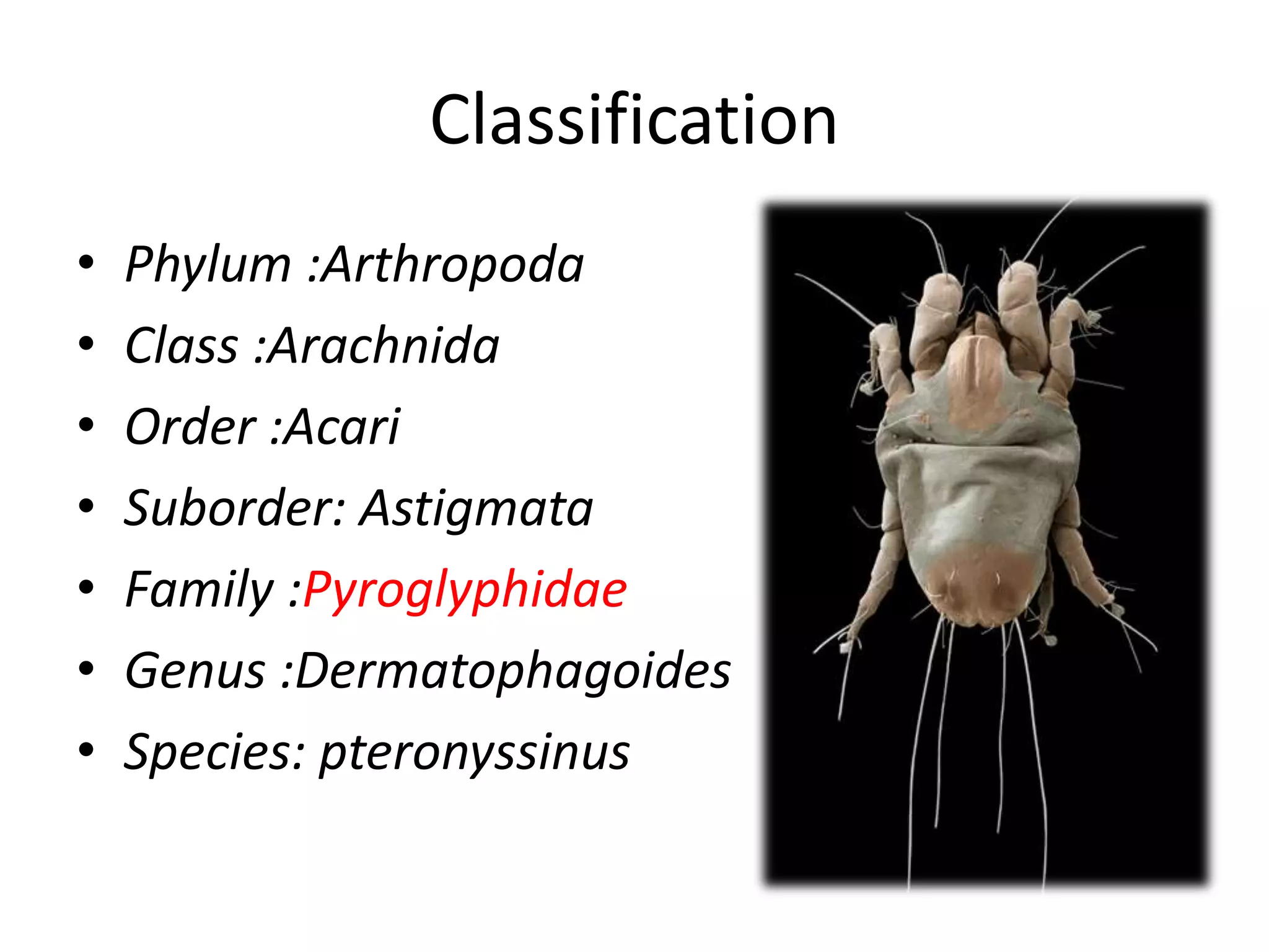 Dust mite ,house hold allergies and management | PPTX
