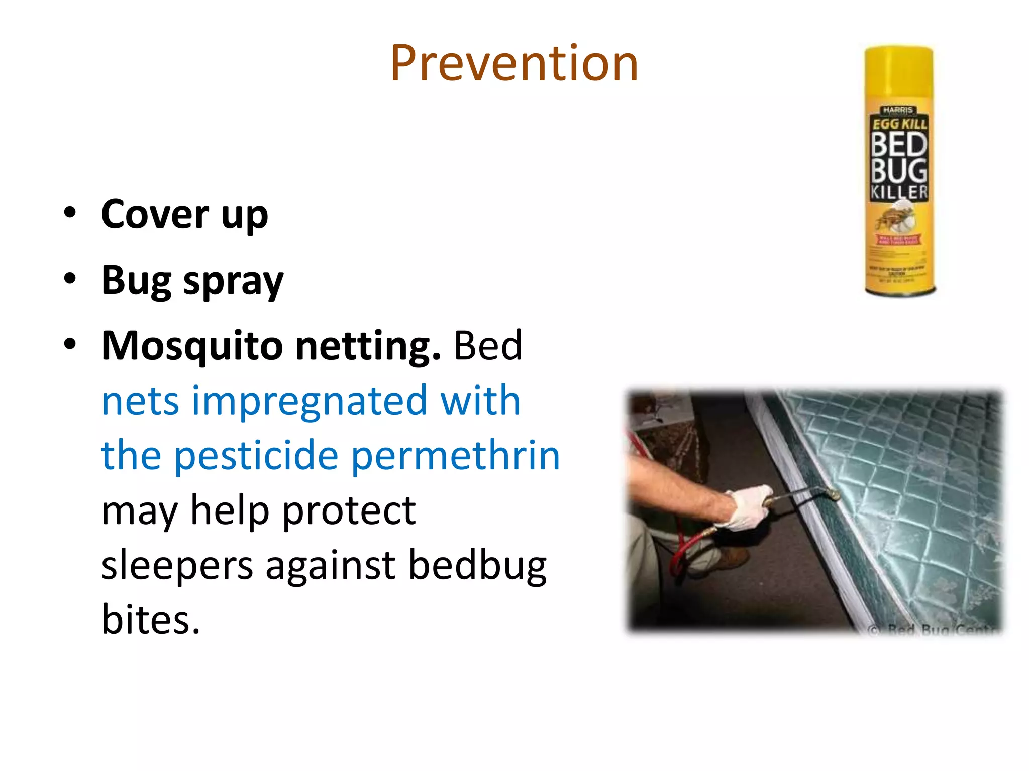 Dust mite ,house hold allergies and management | PPTX
