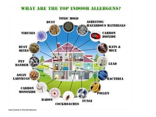 Dust mite ,house hold allergies and management | PPTX