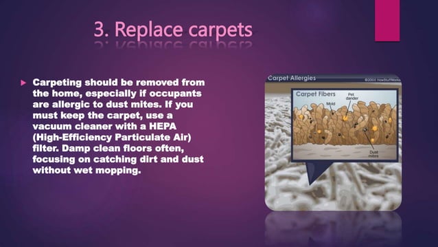 Dust mites protection in asthma | PPTX | Allergies | Diseases and ...