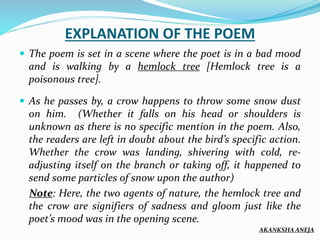Dust of snow | PPT
