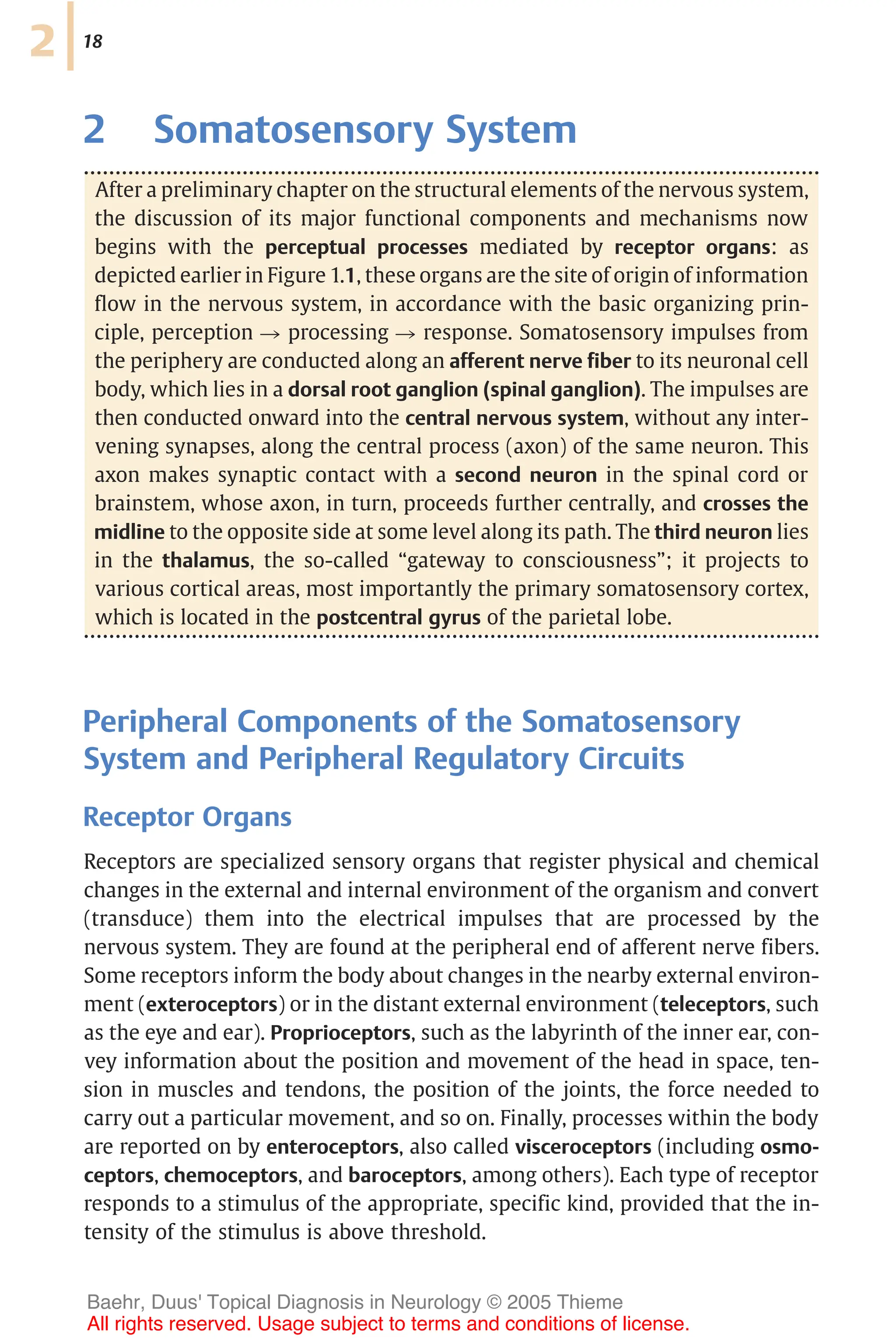 duus neurology.pdf anatomy. phisiology/// | PDF