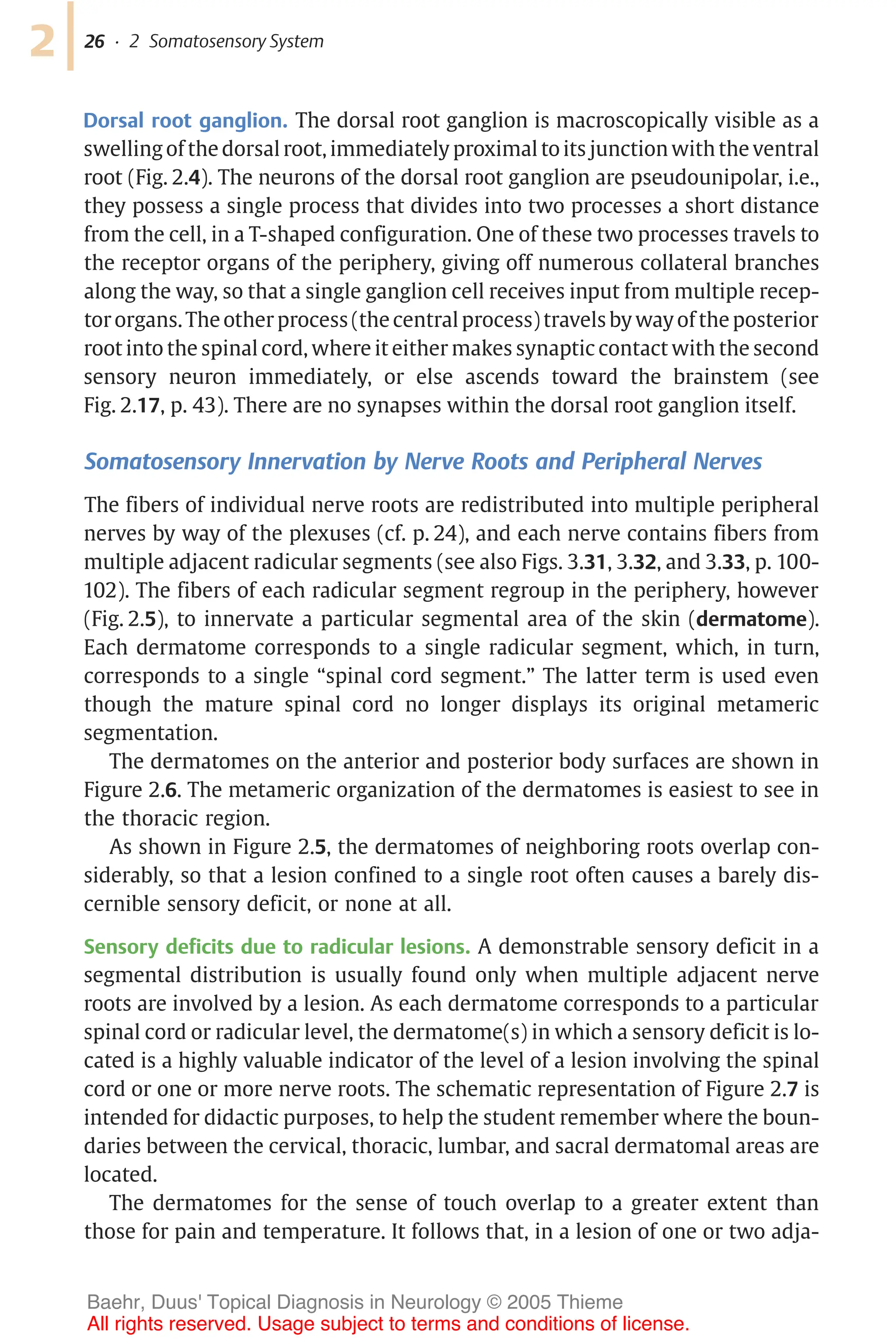 duus neurology.pdf anatomy. phisiology/// | PDF