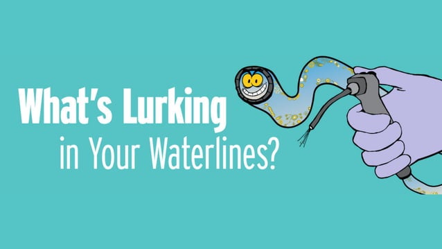 Dental Unit Waterlines System | PDF