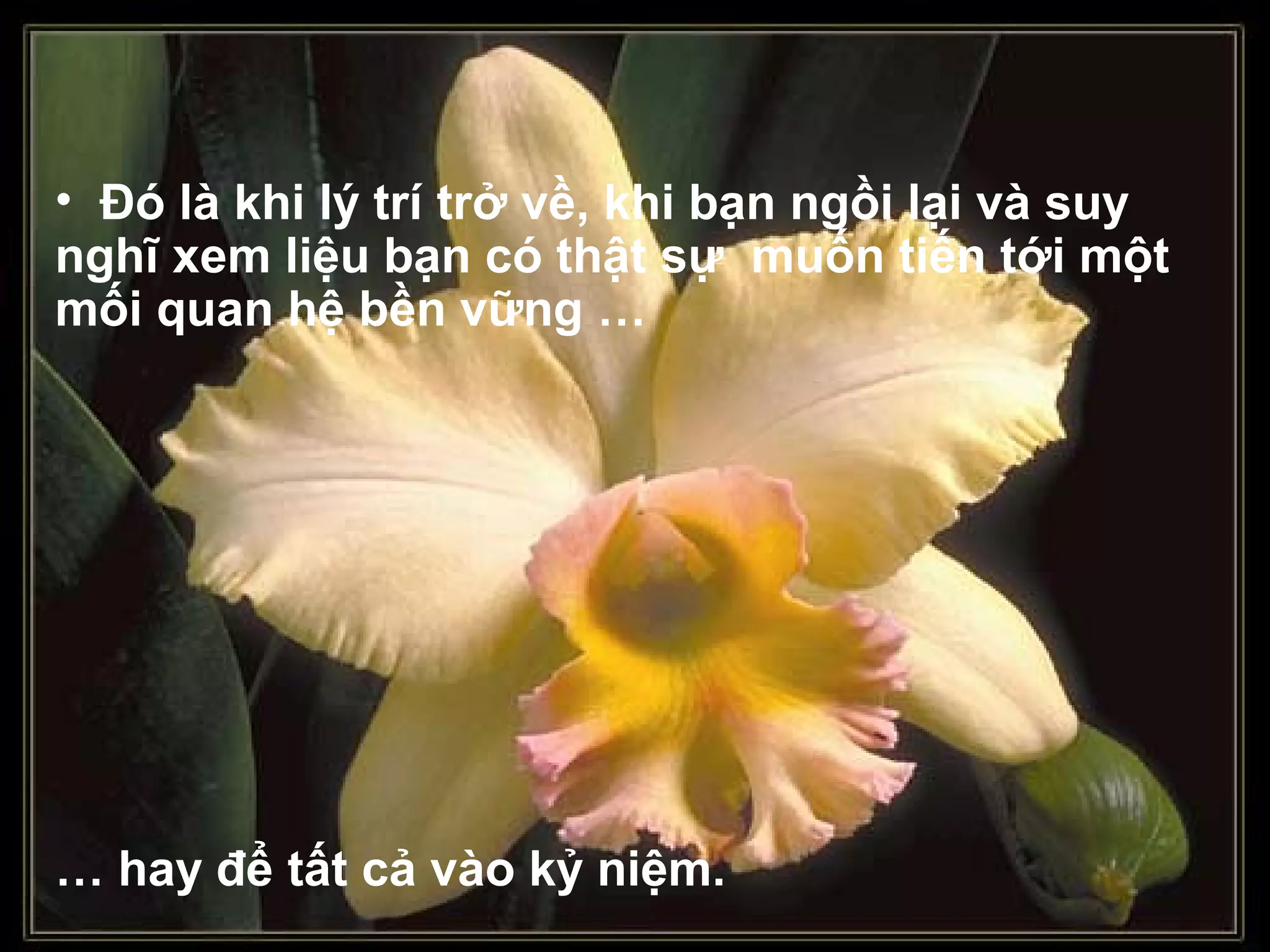 Duyen may & su lua chon | PPT