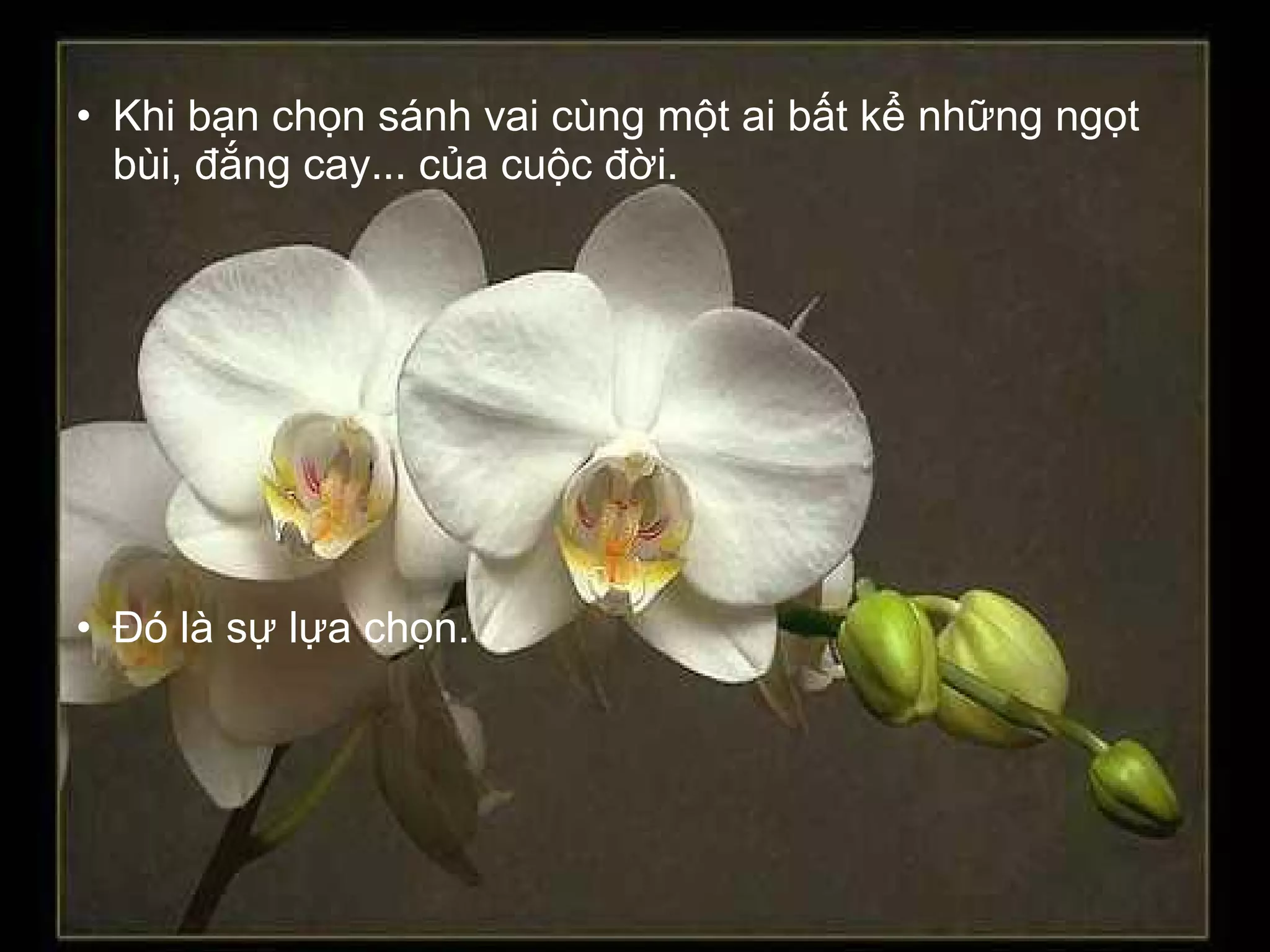 Duyen may va su lua chon | PPT