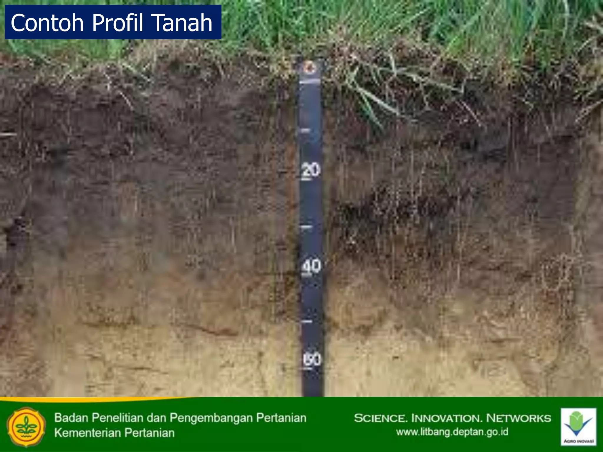 Sampling contoh tanah | PPTX