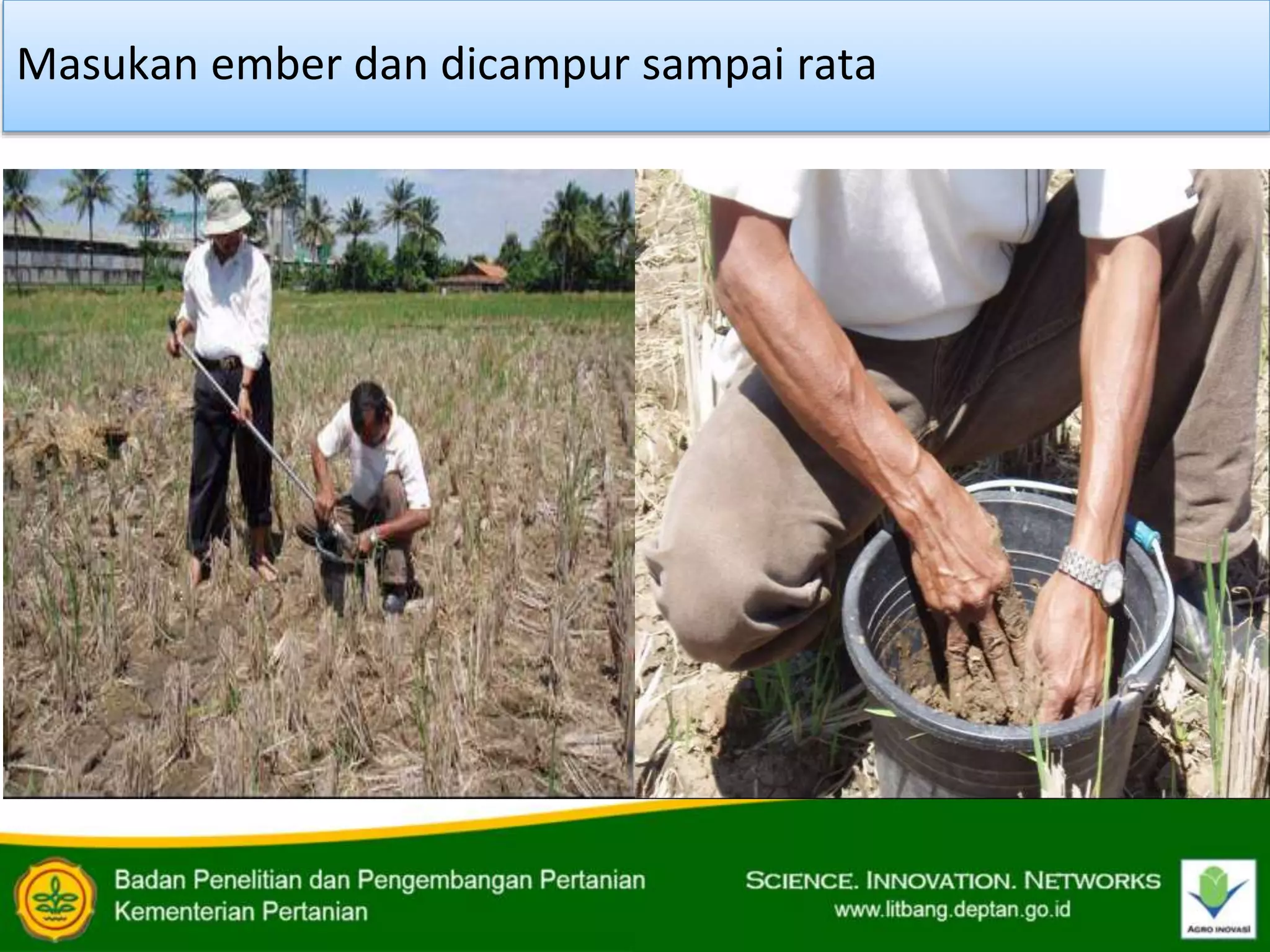 Sampling contoh tanah | PPTX